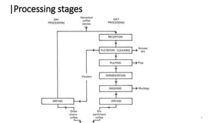 Dry processing and wet processing of Coffee - Washed processing and ...
