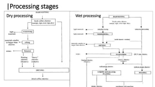 Dry processing and wet processing of Coffee - Washed processing and ...