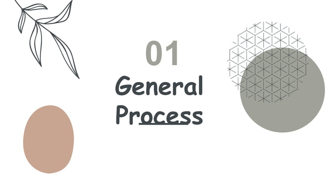 Dry Process Kiln .pptx