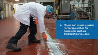 Dry sanitation methods - Preventing cross-contamination on floors and ...