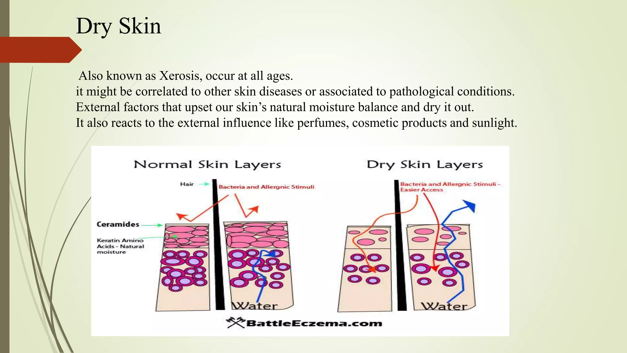 Dry skin, acne, sun protection address | PPT