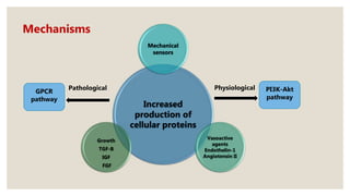 Cellular Adaptation | PPTX