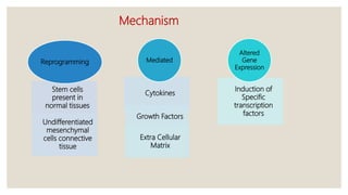 Cellular Adaptation | PPT