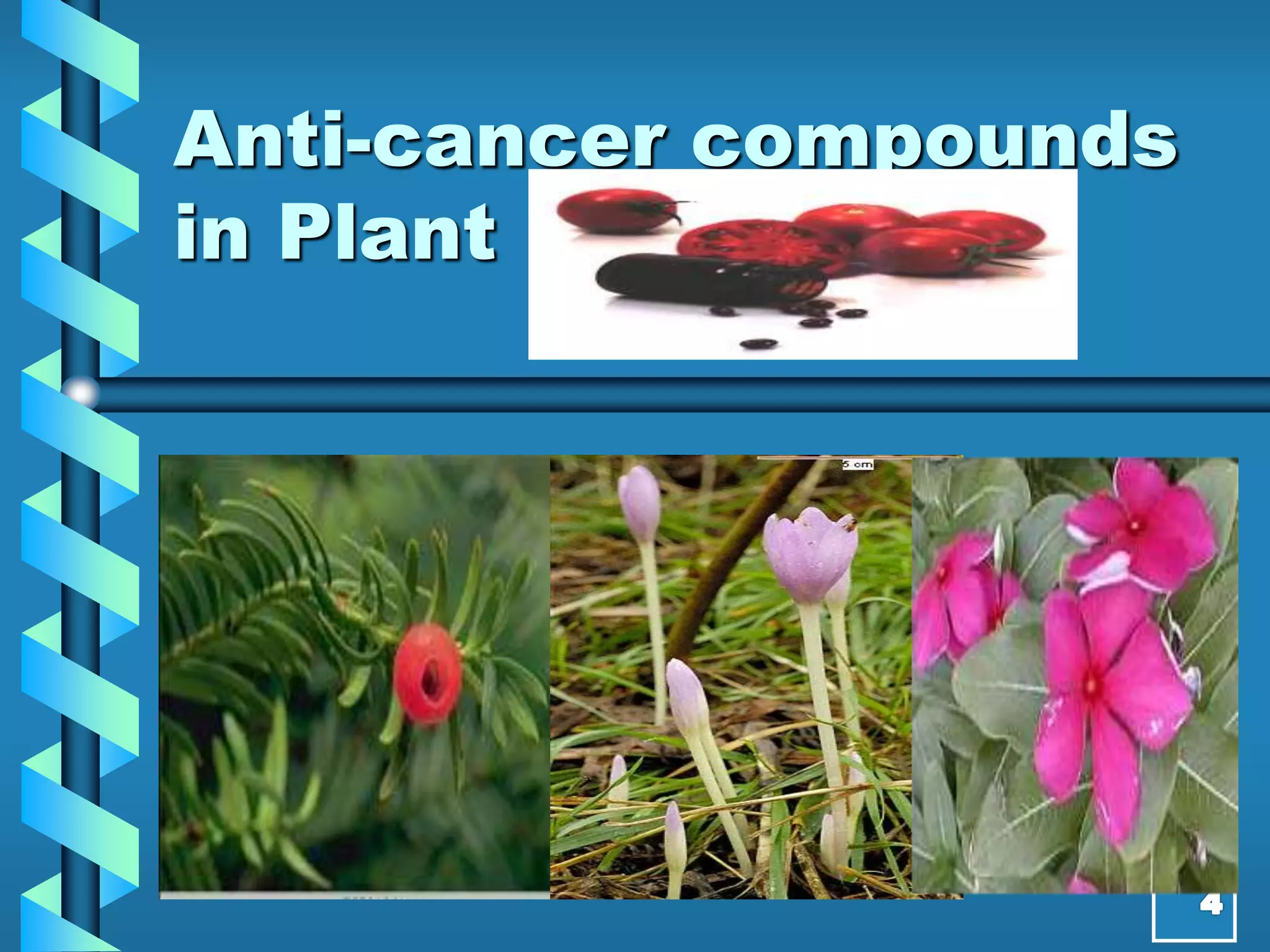 Dr zare habibeh plant drug for cancer prevention | PPT