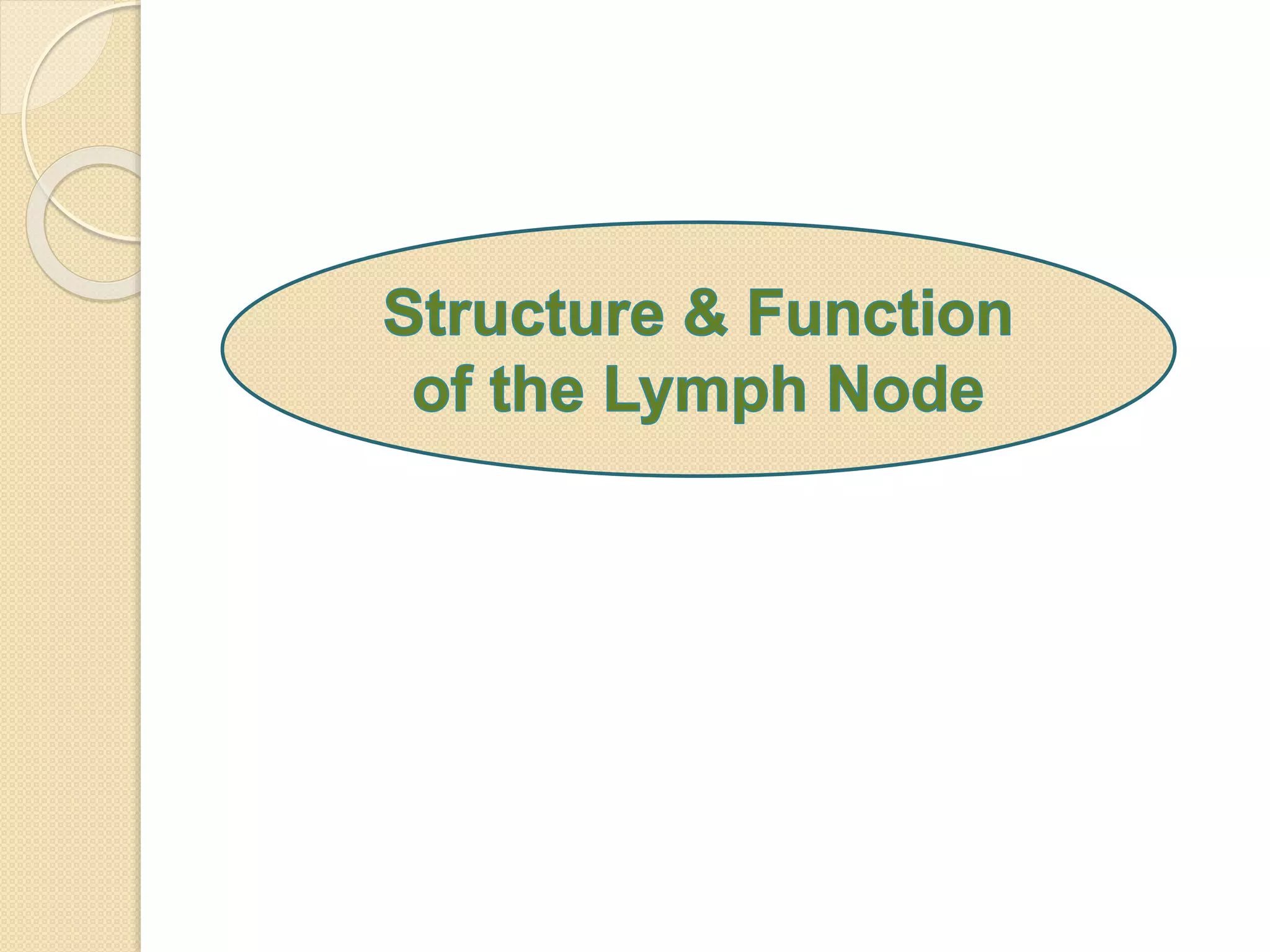General Organization of the Lymph Nodes and Lymphatics | PPTX