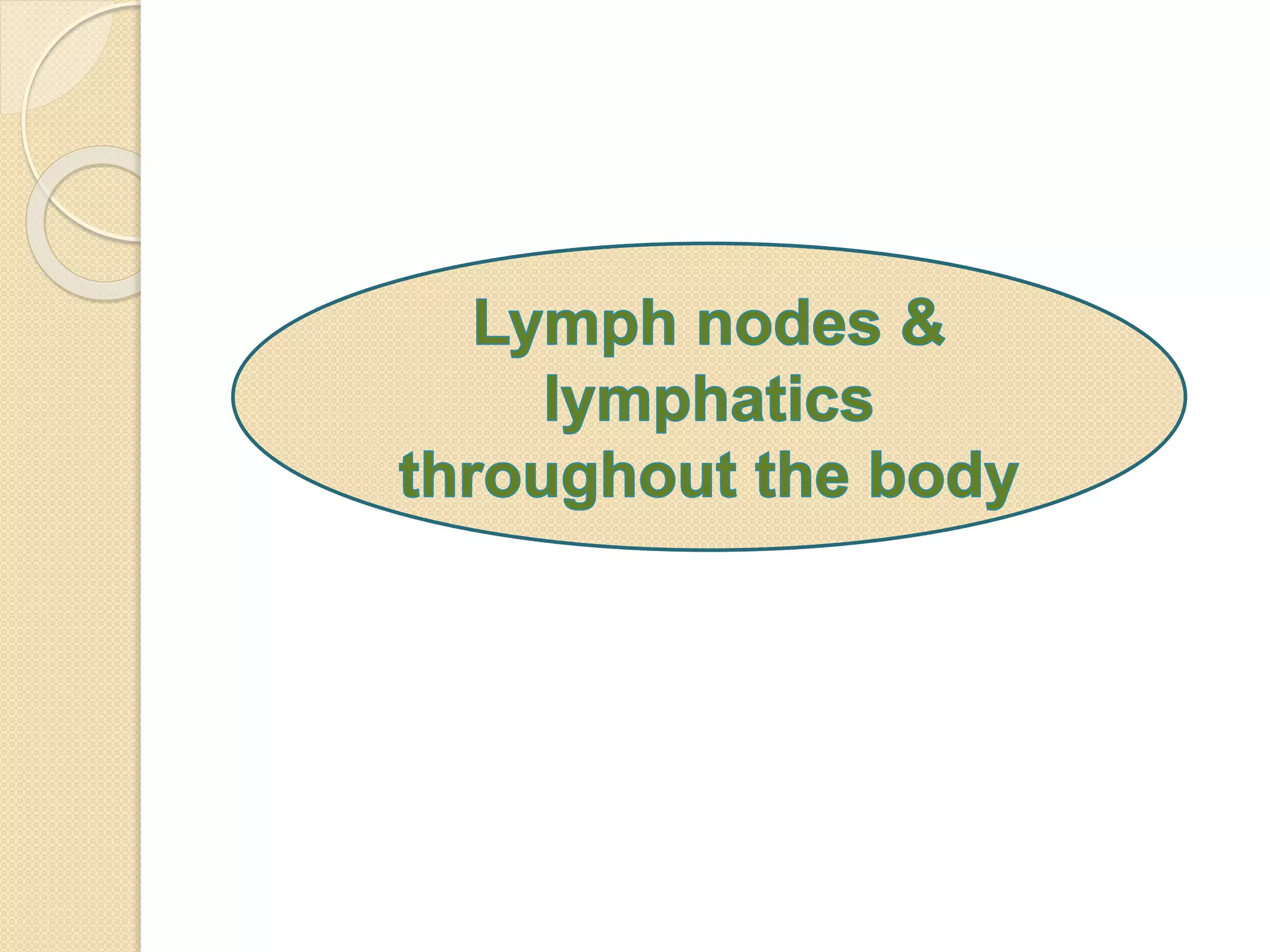 General Organization of the Lymph Nodes and Lymphatics | PPTX