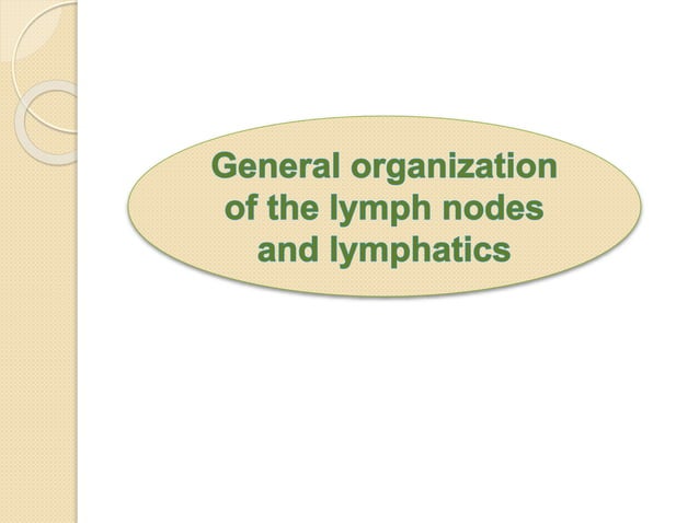 General Organization of the Lymph Nodes and Lymphatics | PPTX