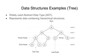 Introduction to Data Structures | PPTX