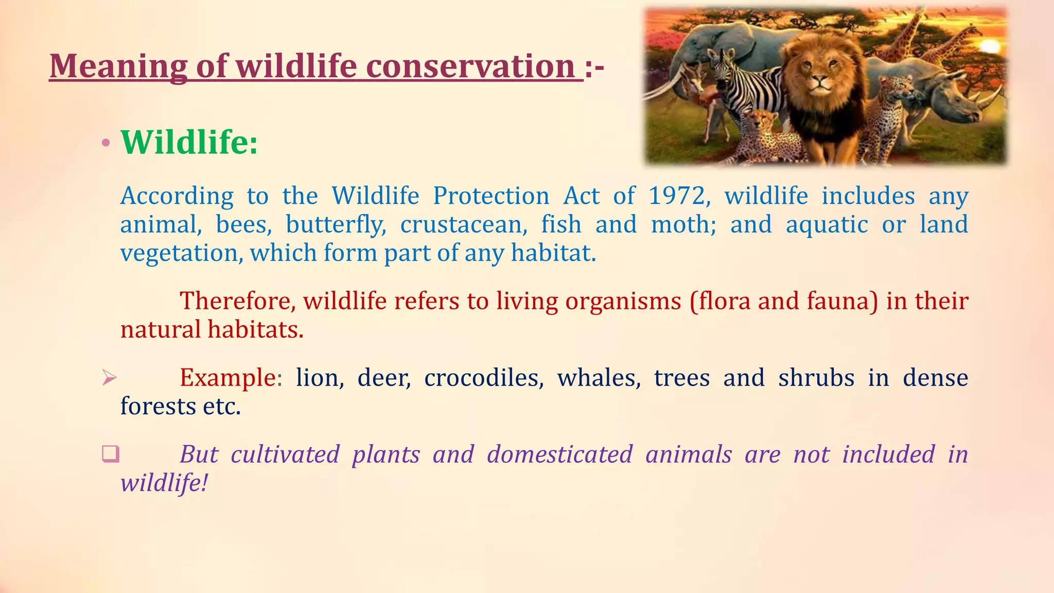 wildlife conservation | PPTX