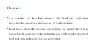 Digestive System - Histology - Types of Tissue.pptx