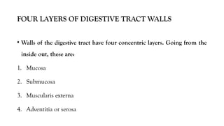 Digestive System - Histology - Types of Tissue.pptx