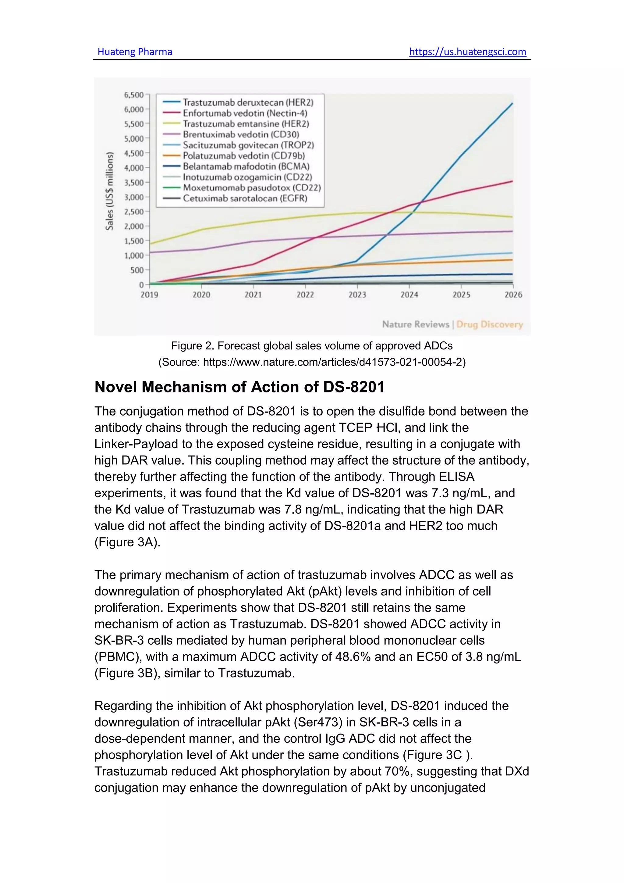 DS-8201 (Enhertu) A Potential ADC Drug Targeting HER2.pdf