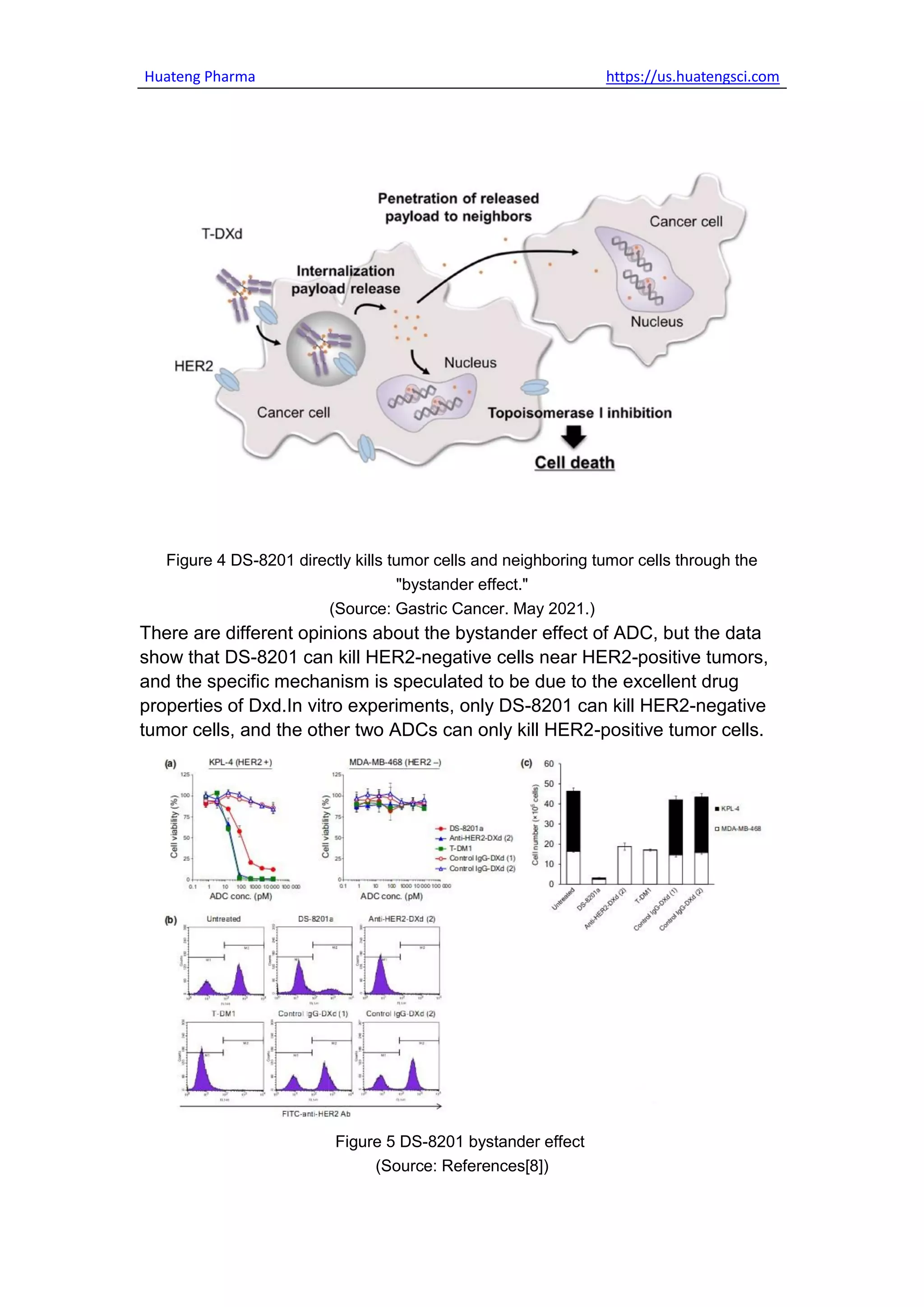 DS-8201 (Enhertu) A Potential ADC Drug Targeting HER2.pdf