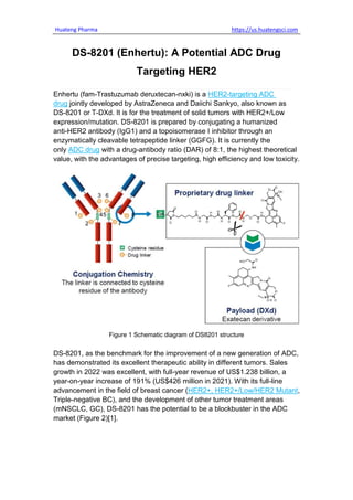 DS-8201 (Enhertu) A Potential ADC Drug Targeting HER2.pdf