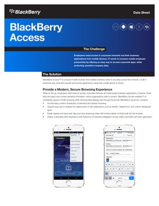 BlackBerry Access | PDF | Business | Business and Finance