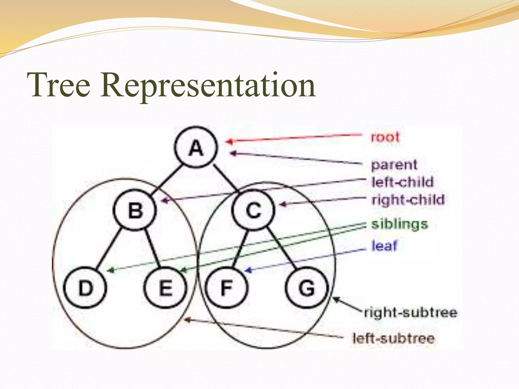 trees in data structure | PPTX