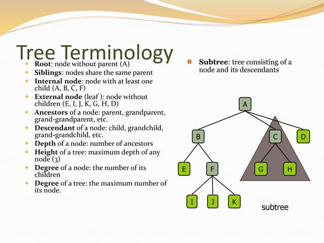 trees in data structure | PPTX | Programming Languages | Computing