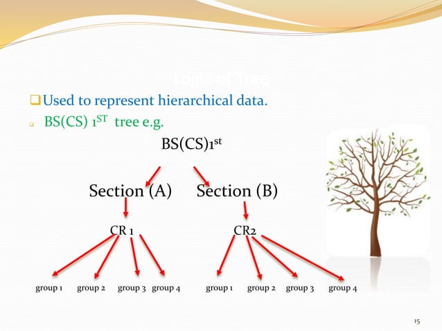 trees in data structure | PPTX | Programming Languages | Computing