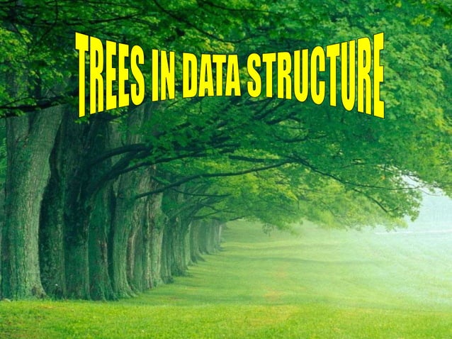 trees in data structure | PPTX | Programming Languages | Computing