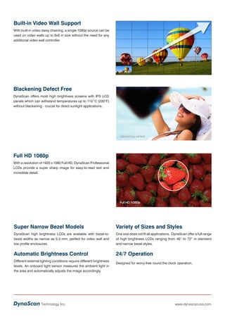 DynaScan High Brightness LCDs | PDF | Computer Peripherals | Computing