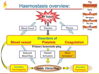 Haematology for Dental Students - Bleeding Disorders | PPTX