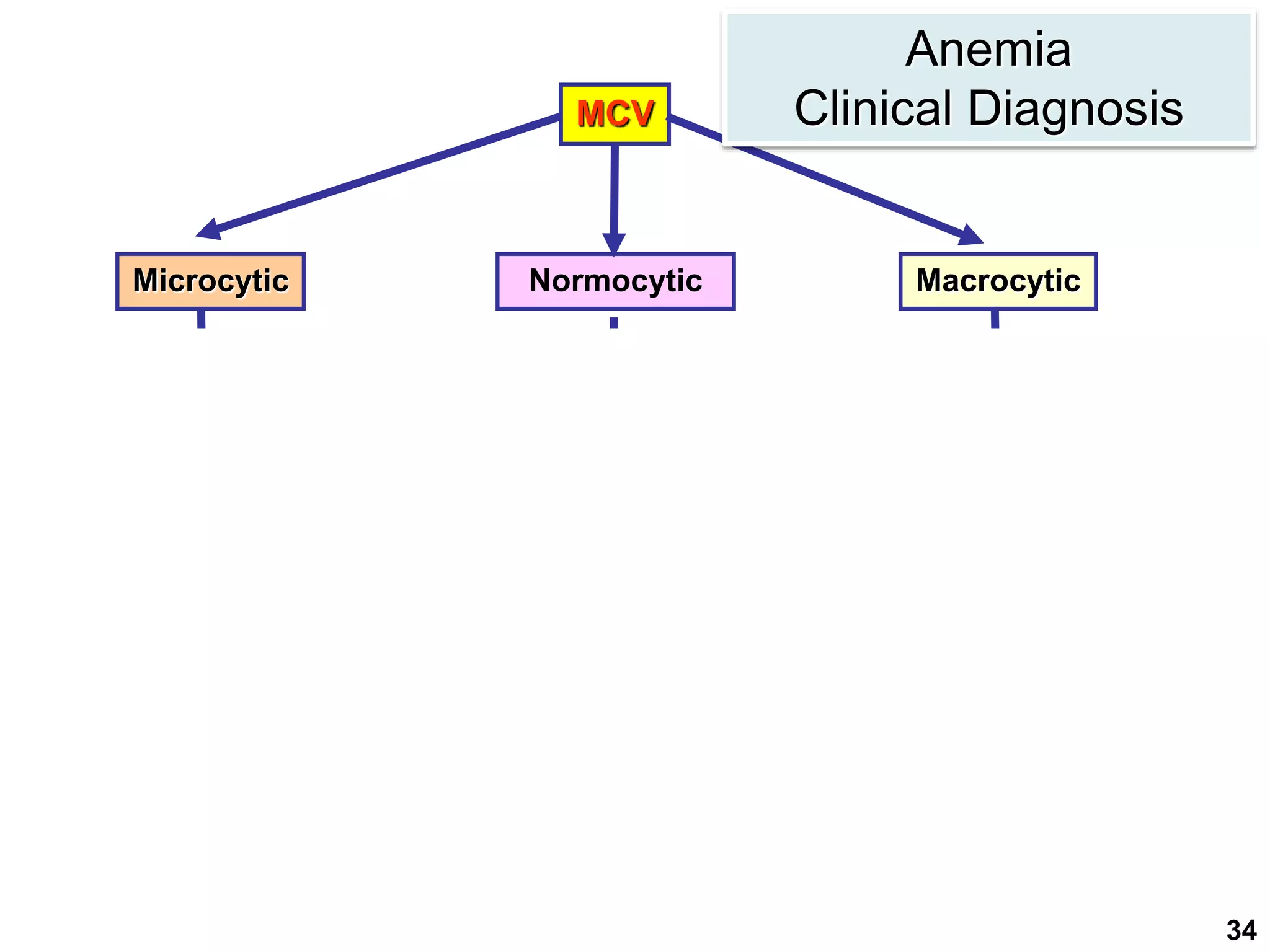 Haematology for Dental Students - RBC Disorders | PPTX