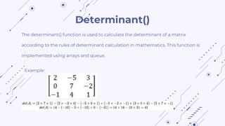 DSA Project Slides in computer science.pptx | Physics | Science