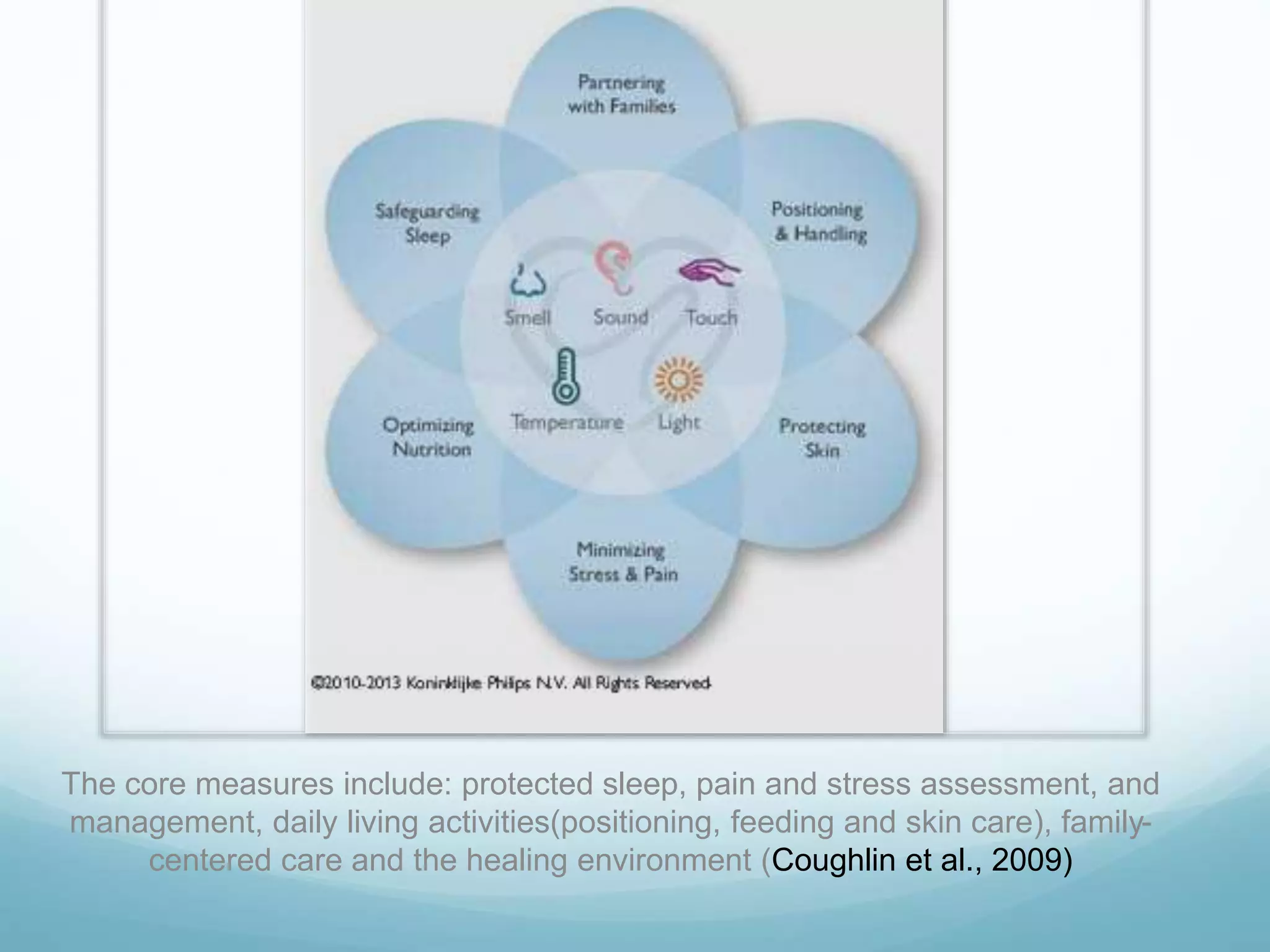 Developmentally Supportive Care | PPTX