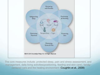 Developmentally Supportive Care | PPTX