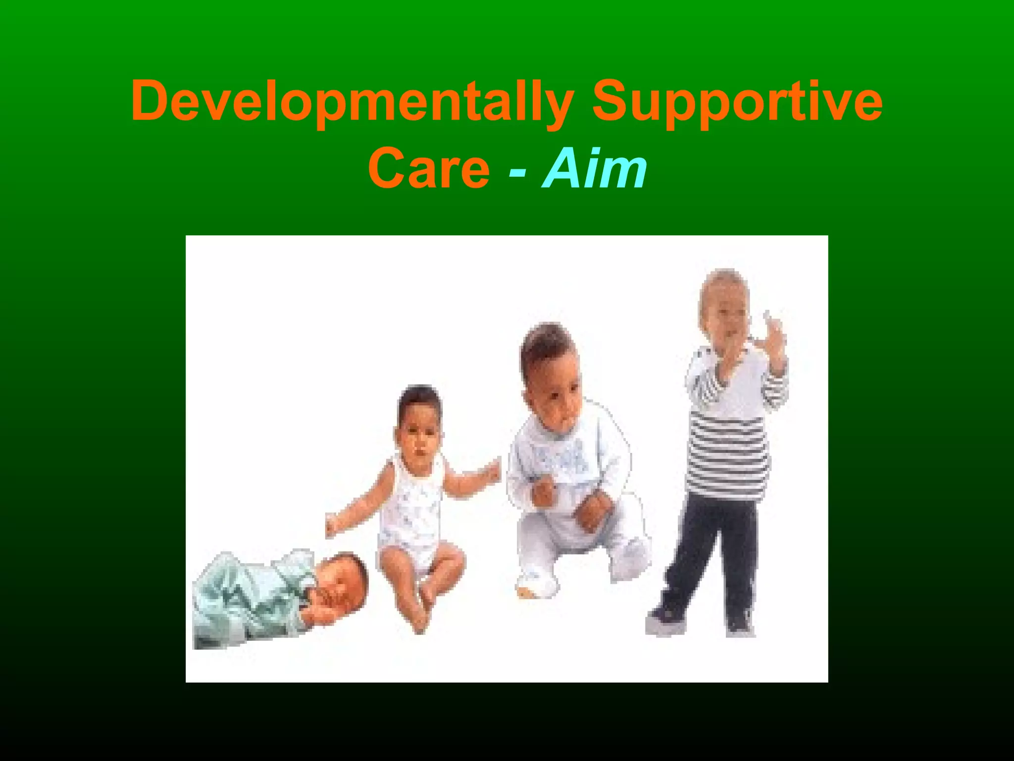 Developmentally supportive neonatal care | PPT