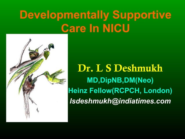 Developmentally supportive neonatal care | PPT