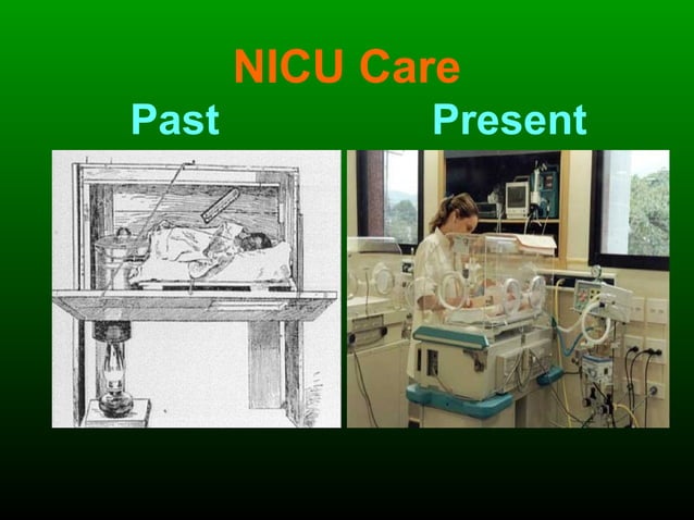 Developmentally supportive neonatal care | PPT