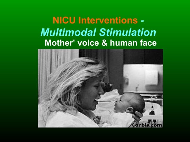 Developmentally supportive neonatal care | PPT