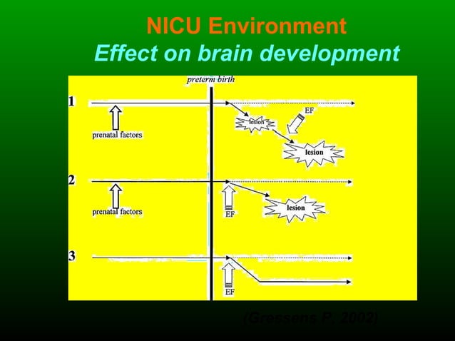 Developmentally supportive neonatal care | PPT