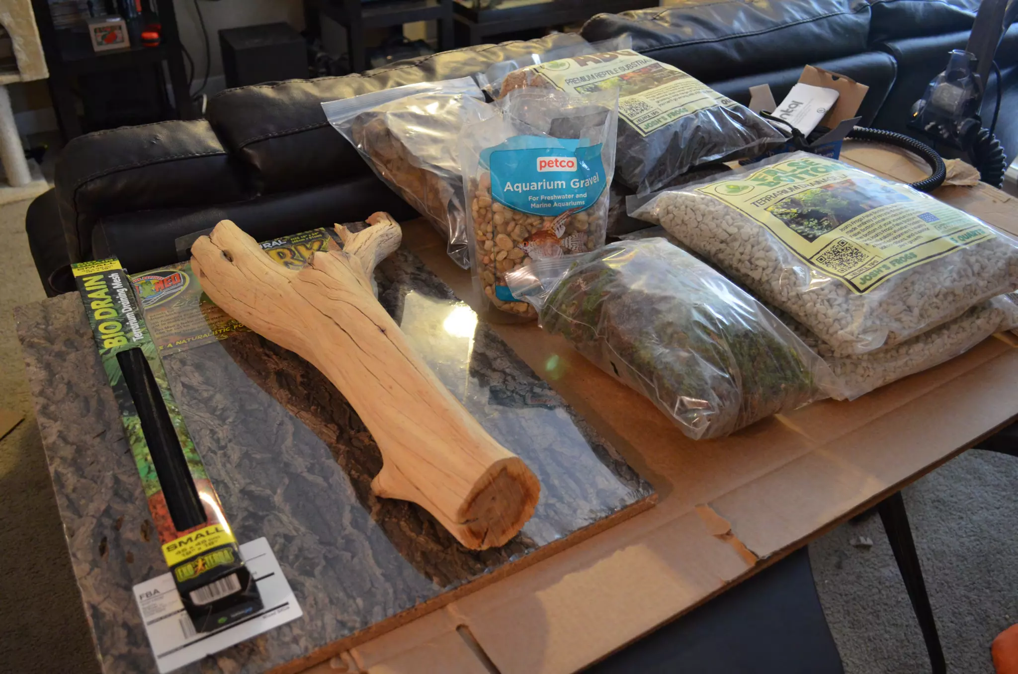 Dart Frog Terrarium Build | PDF