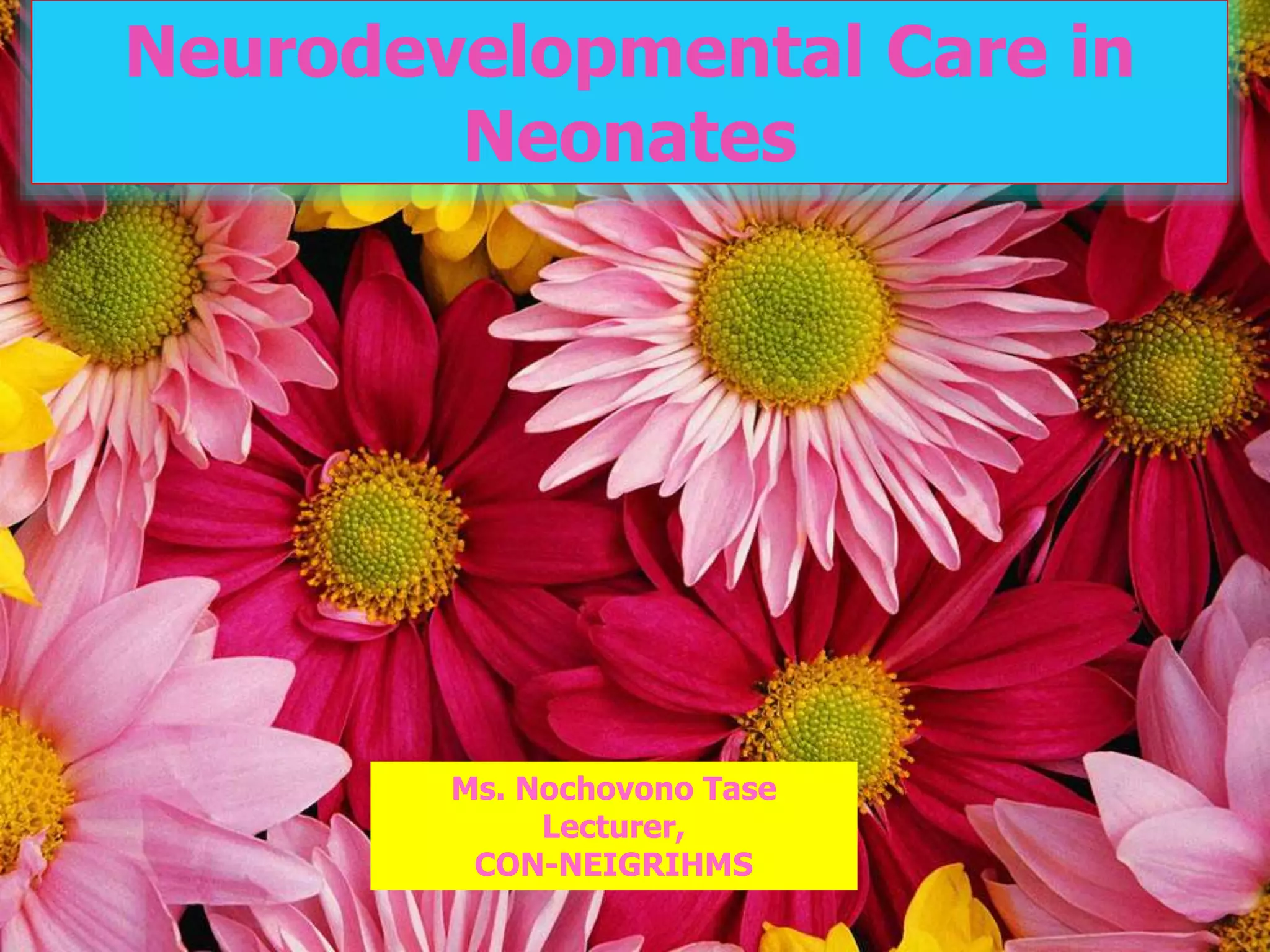 Developmental Supportive Care | PPTX
