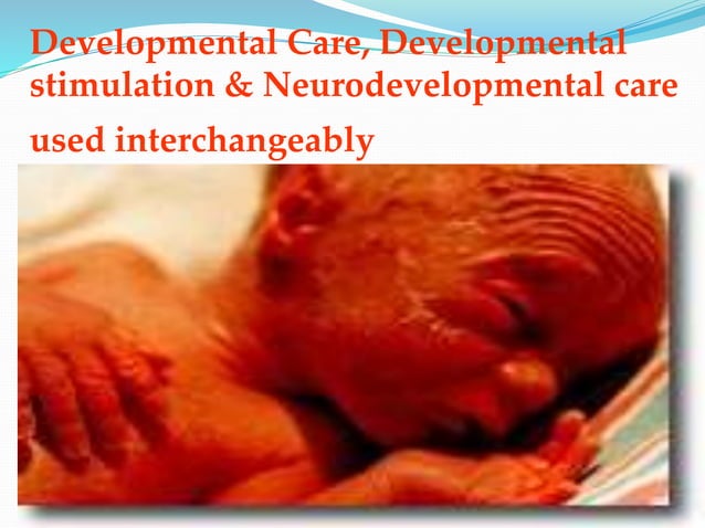 Developmental Supportive Care | PPTX