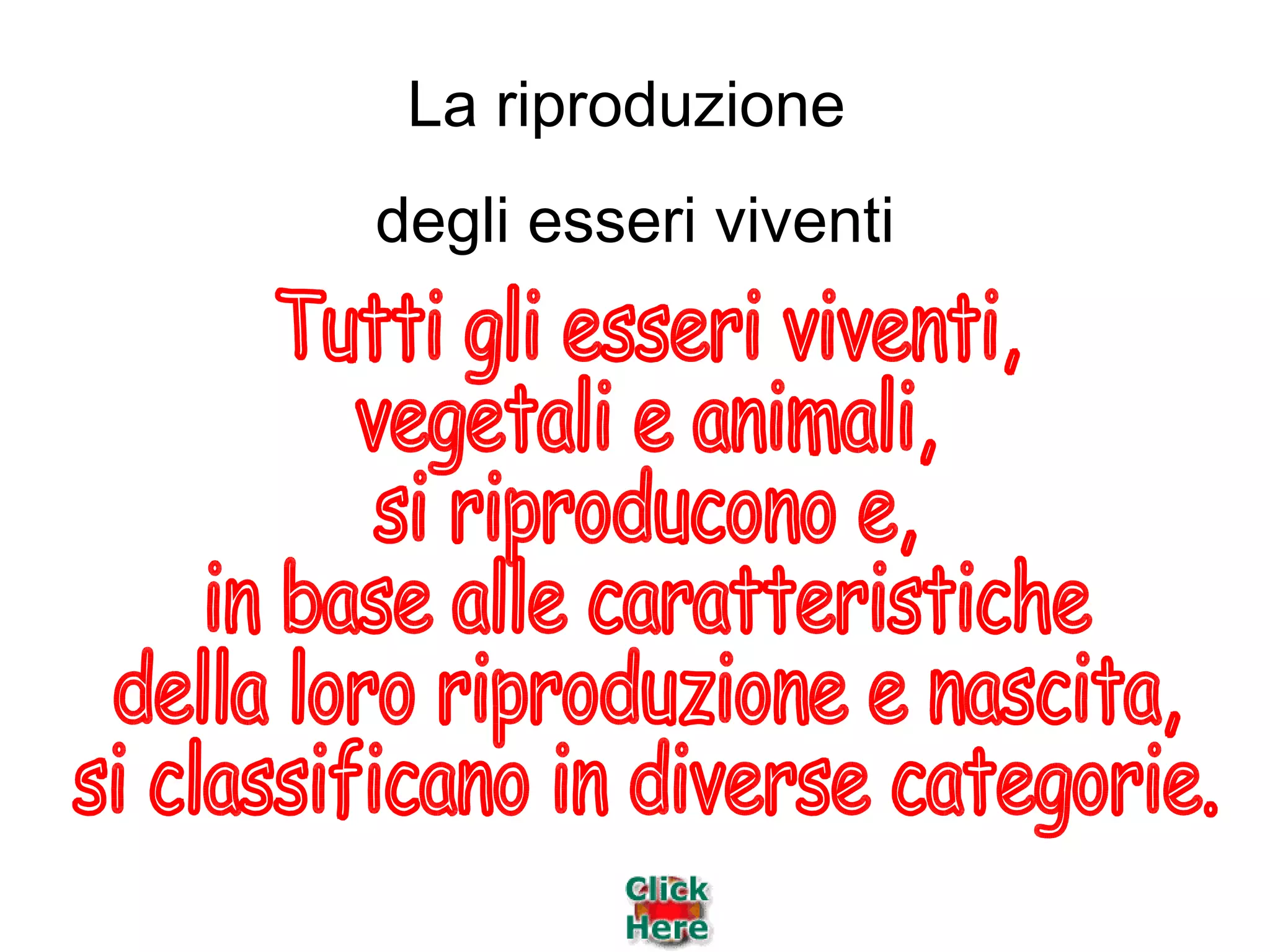 Animali | PPT | Biological Sciences | Science