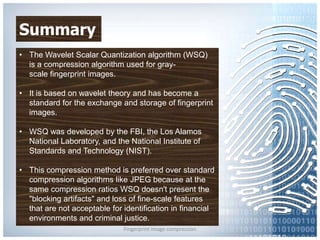 Fingerprint_compression | PPTX | Data Storage and Warehousing | Computing