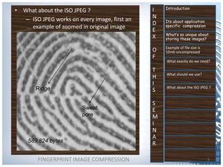 Fingerprint_compression | PPTX | Data Storage and Warehousing | Computing