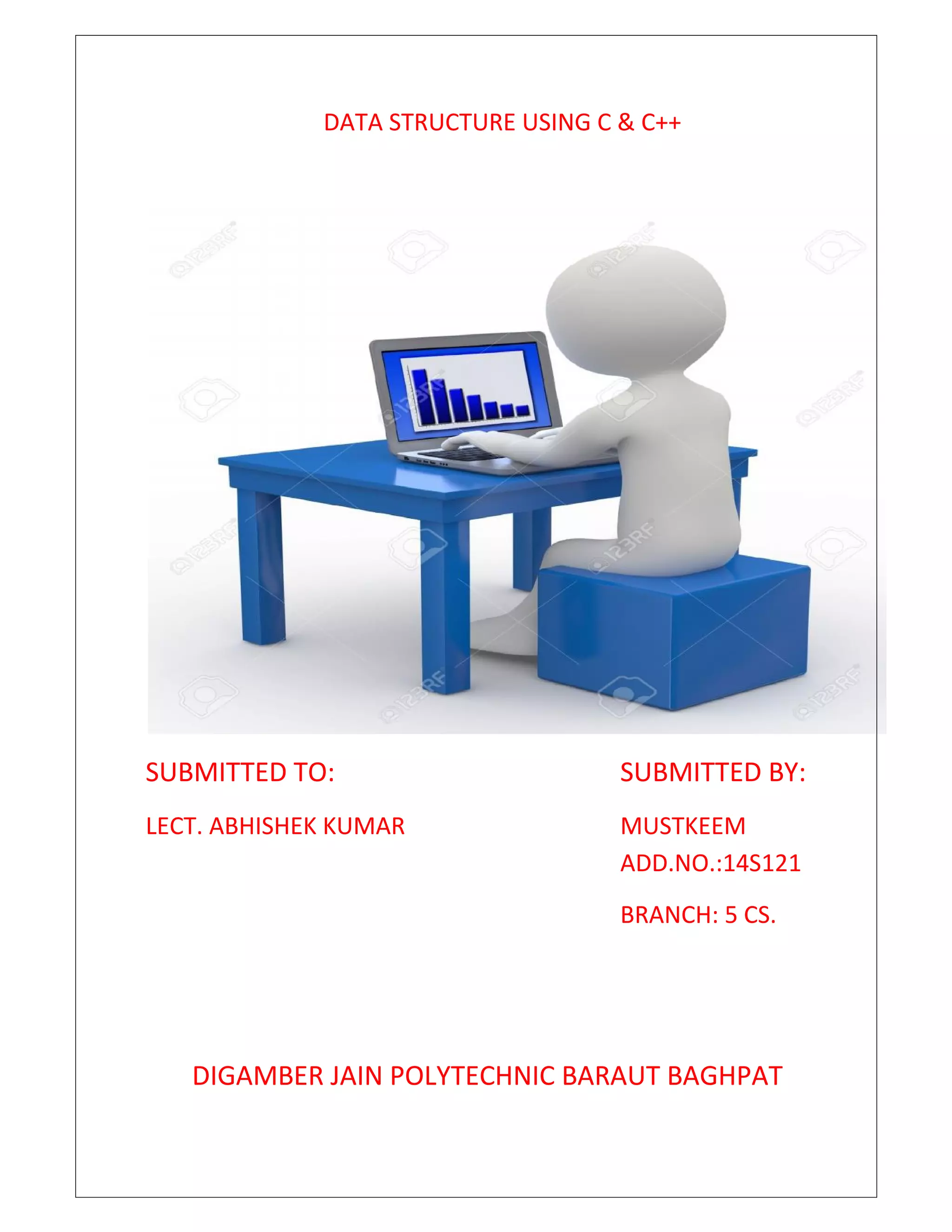 DSU C&C++ Practical File Diploma | PDF | Programming Languages | Computing