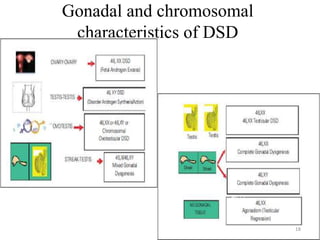 Approach to DSD (Ambiguous genitalia) | PPTX