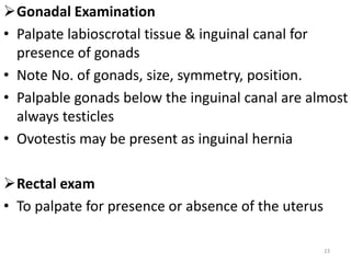 Approach to DSD (Ambiguous genitalia) | PPTX