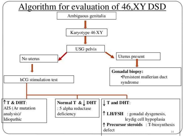 Approach to DSD (Ambiguous genitalia) | PPTX | Endocrine and Metabolic ...