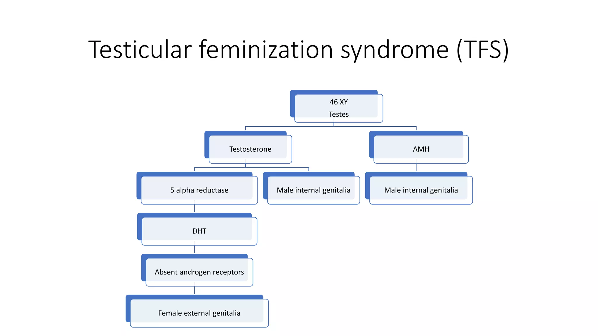 DSD (Disorders of sexual development), Intersex.pptx