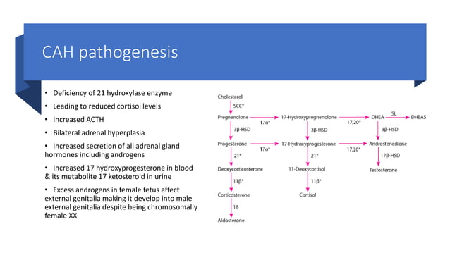DSD (Disorders of sexual development), Intersex.pptx | Hormonal ...