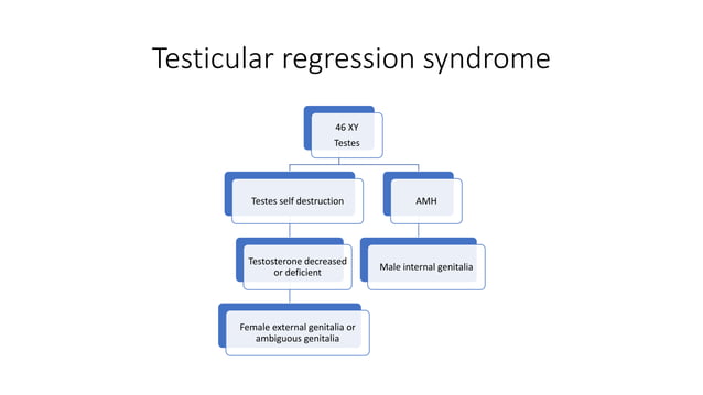 DSD (Disorders of sexual development), Intersex.pptx | Hormonal ...