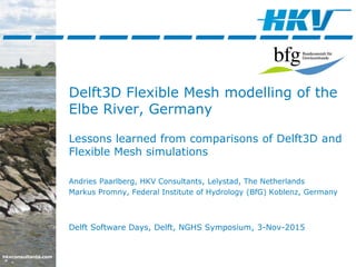 DSD-INT 2015 - Delft3D Flexible Mesh modelling of the Elbe river ...