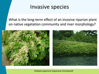 DSD-INT 2016 Modeling invasive species in river systems_ interaction ...