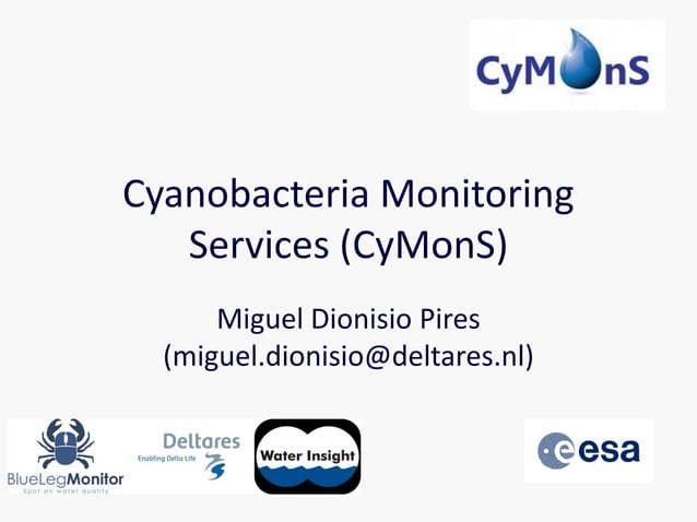 DSD-INT 2017 Coupling 3D models and earth observation to develop algae ...